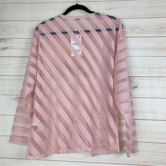 Zara | Tops | Zara Pink Sheer Striped Long Sleeve Blouse | Poshmark
